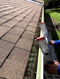 The Best TruDefinition Duration Shingle Colors - Oscar Roofing